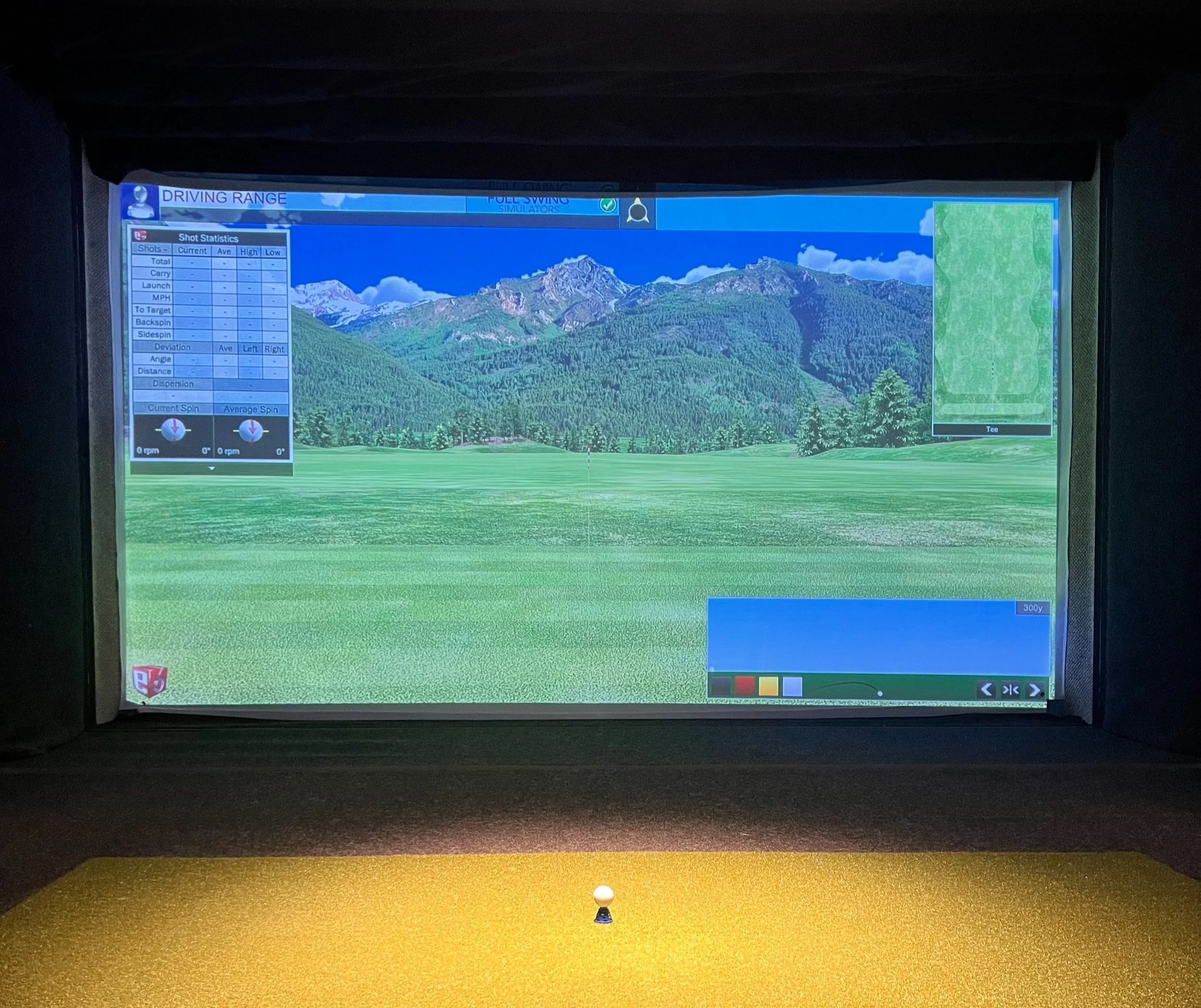 NEXT LEVEL GOLF - Golf Simulator Play For All Seasons