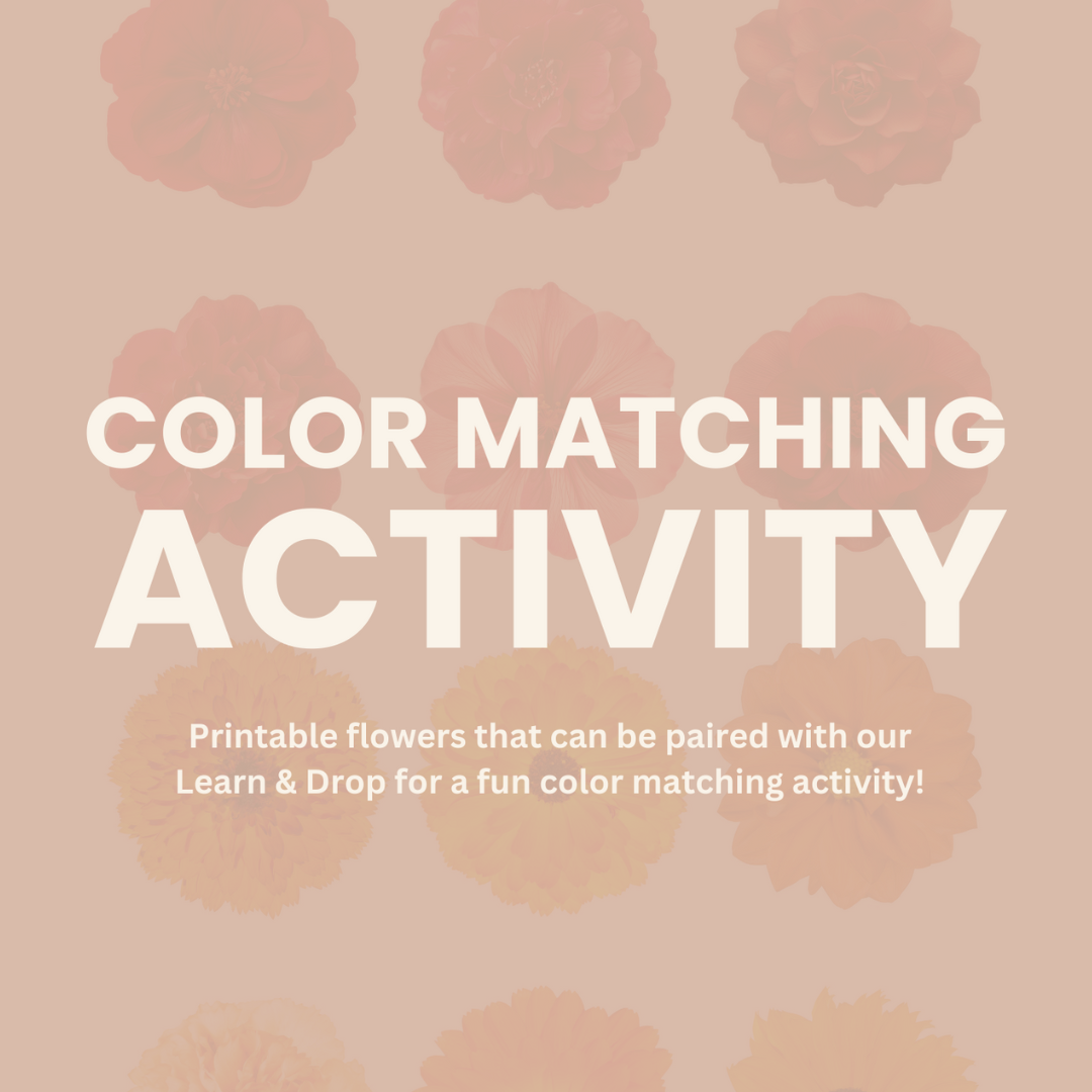 Printable Flower Activity for Learn & Drop — Solobo | Montessori ...