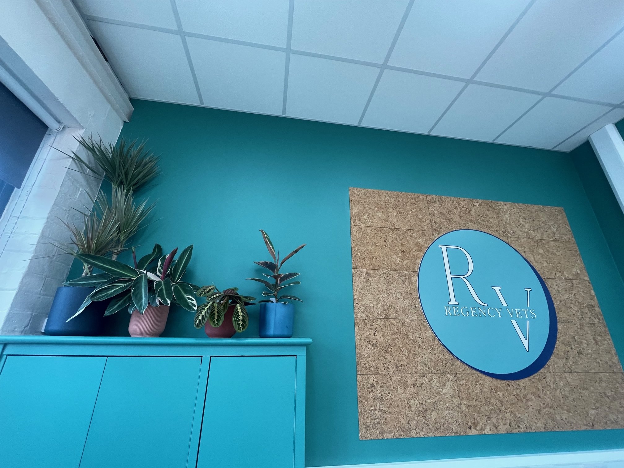 Services — Regency Vets