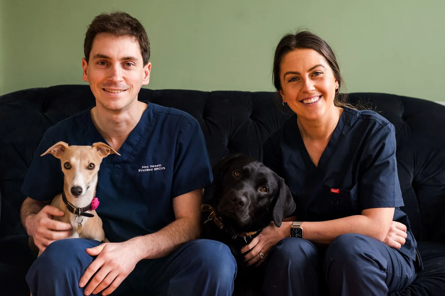 Vets Cheltenham - Independent and Friendly - Regency Vets