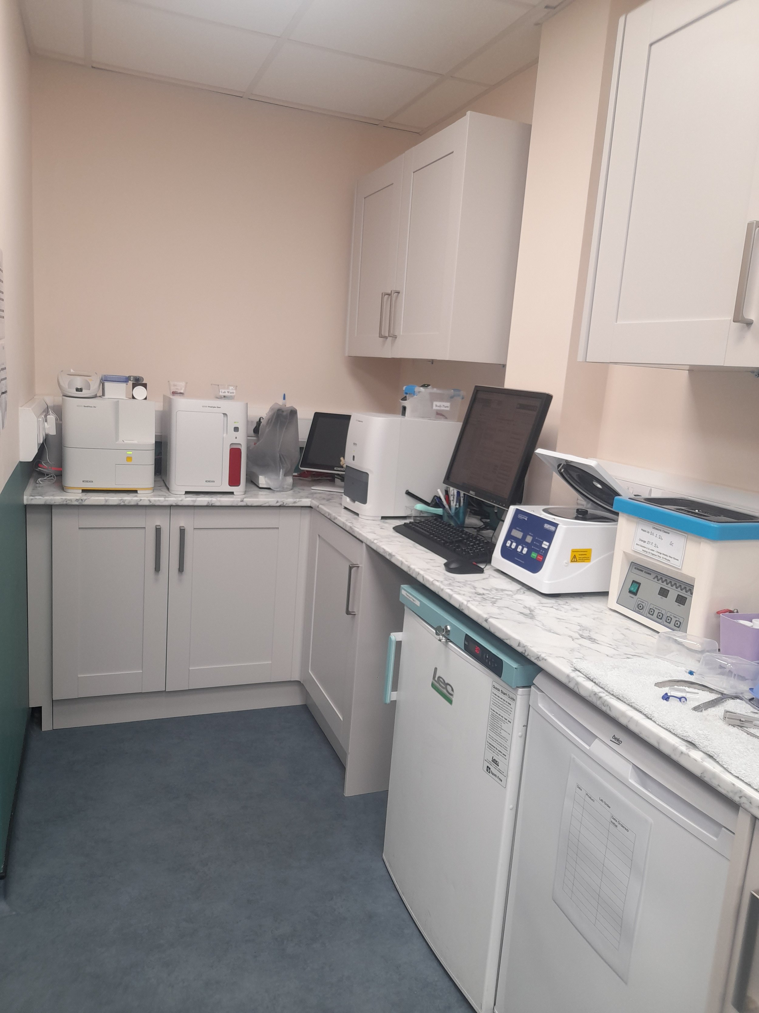 Services — Regency Vets