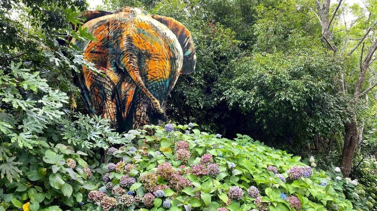 Kaipara Coast Sculpture Gardens — New Zealand Garden Trust