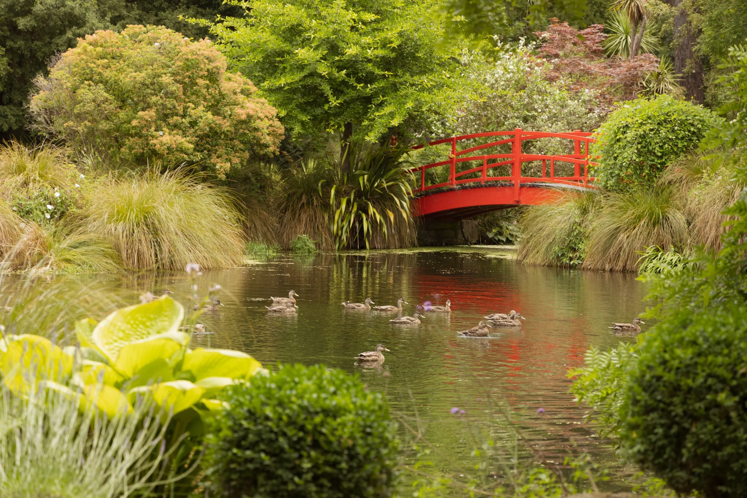 Pegasus Bay Winery — New Zealand Garden Trust