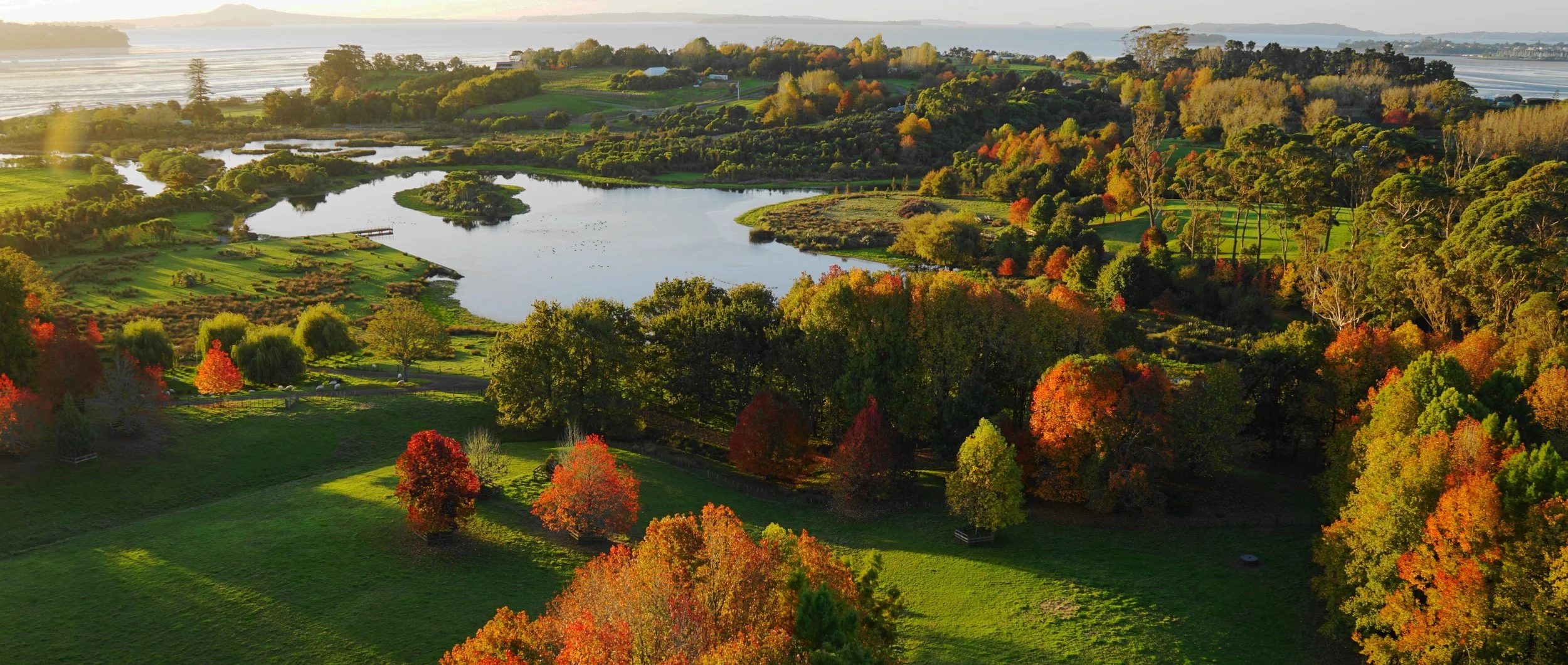 Visit and Explore New Zealand's Finest Gardens — New Zealand Garden ...