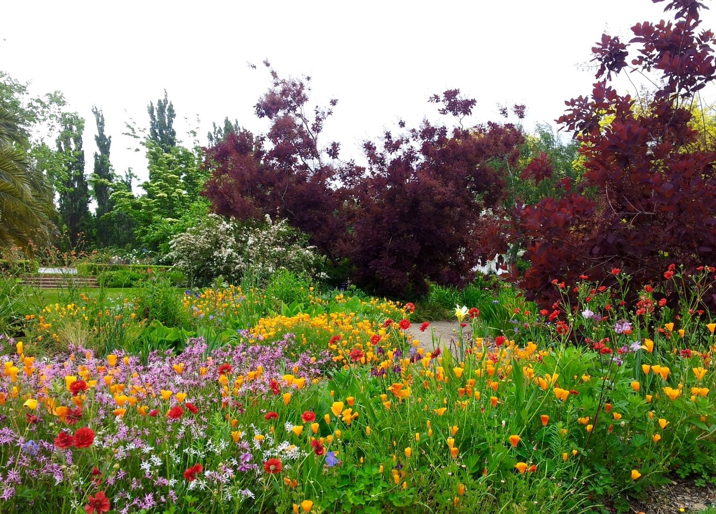 Visit and Explore New Zealand's Finest Gardens — New Zealand Garden ...