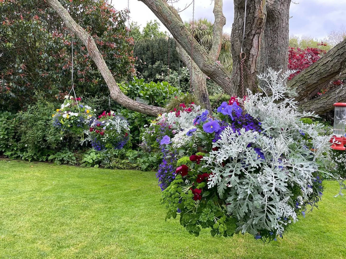 Pukeiti — New Zealand Garden Trust