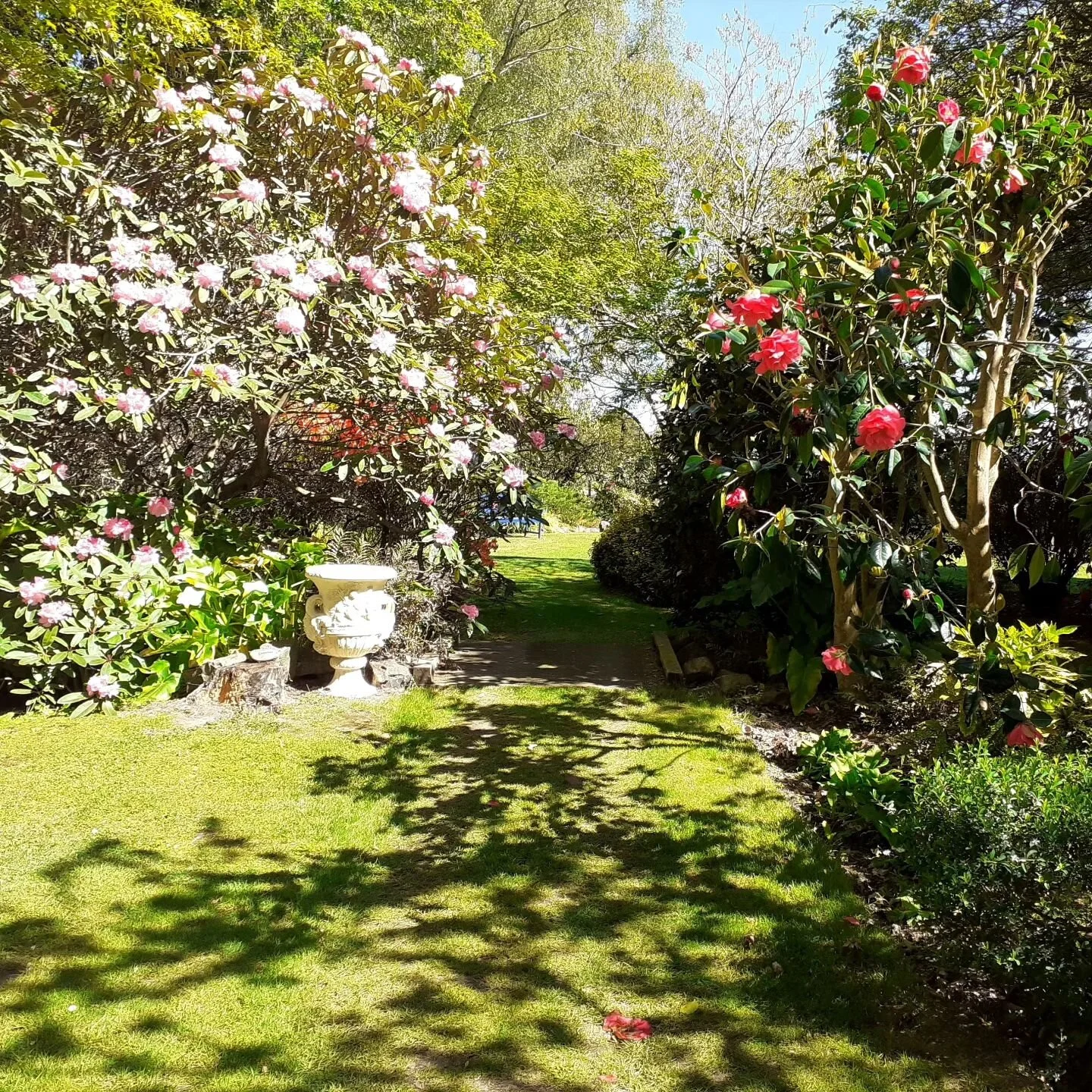 New Zealand Gardens Trust - Quality Garden Experiences Across NZ