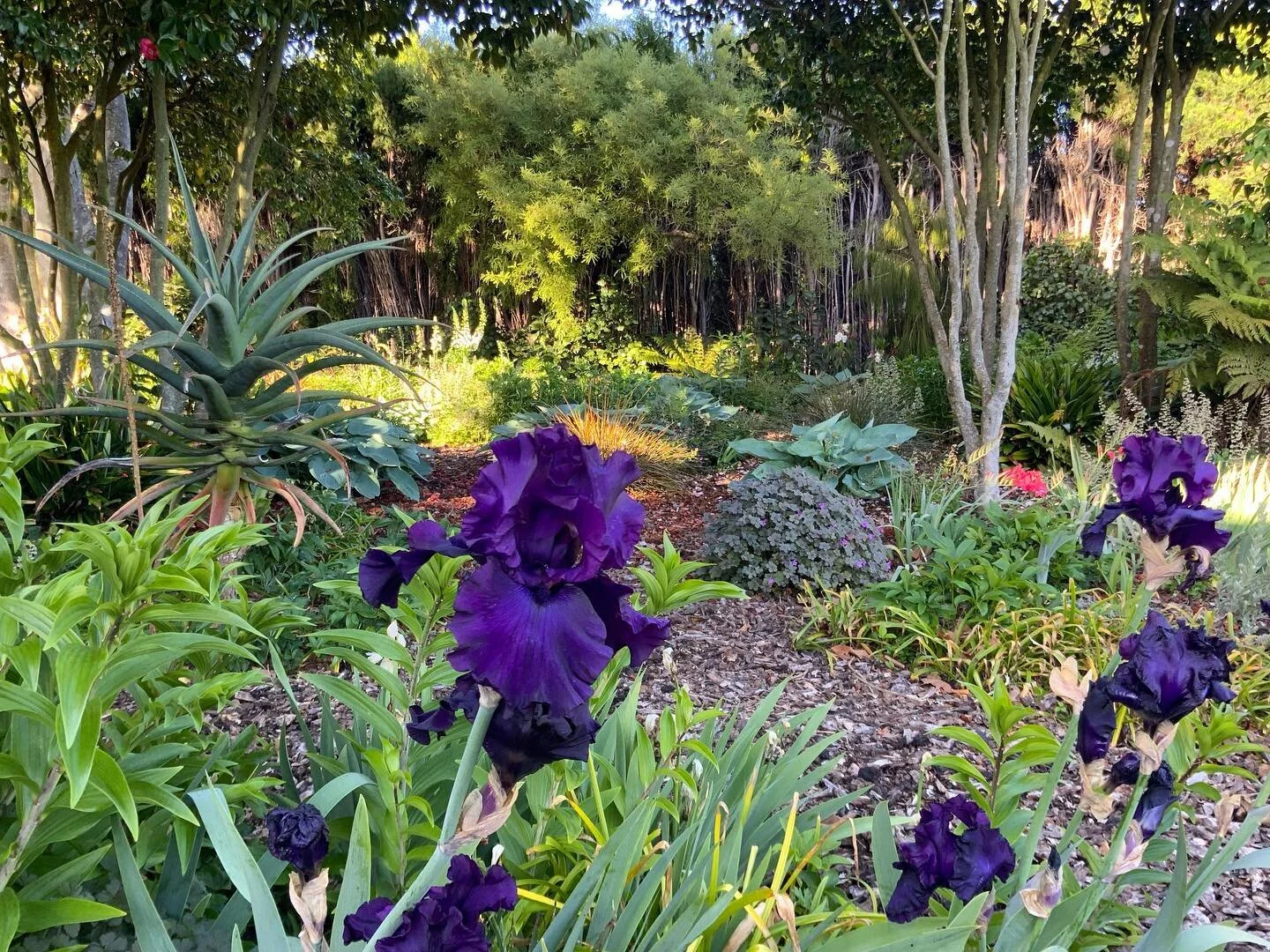 New Zealand Gardens Trust - Quality Garden Experiences Across NZ