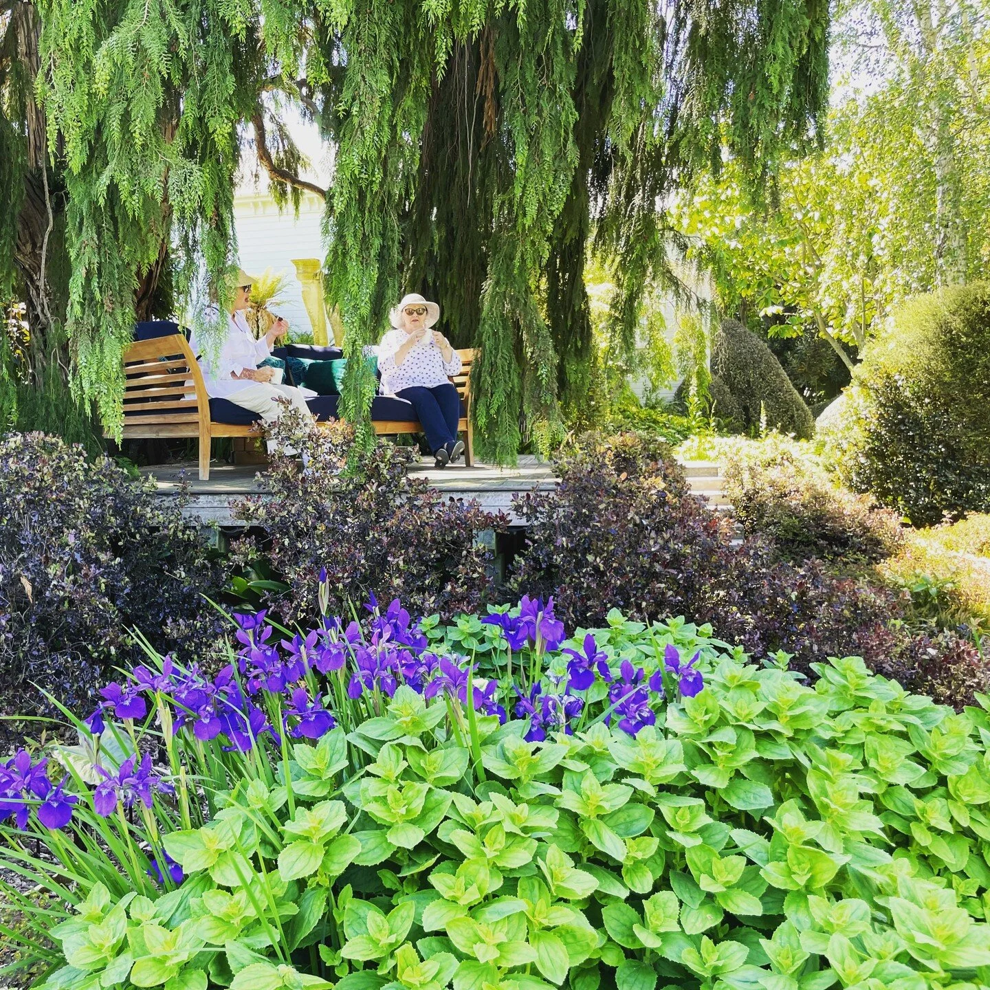 Whitney — New Zealand Garden Trust