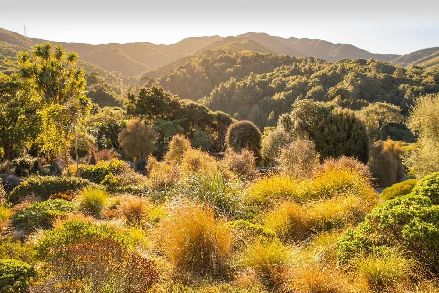 Register Your Garden with NZGT - Showcase Your Private or Public garden ...
