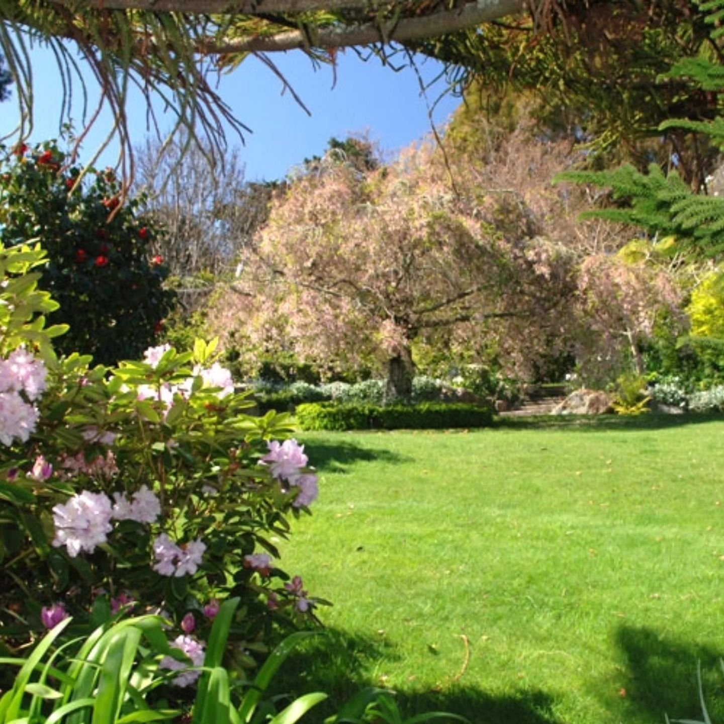 Mincher — New Zealand Garden Trust