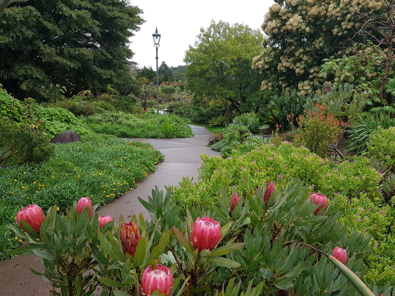 Auckland Botanic Gardens — New Zealand Garden Trust