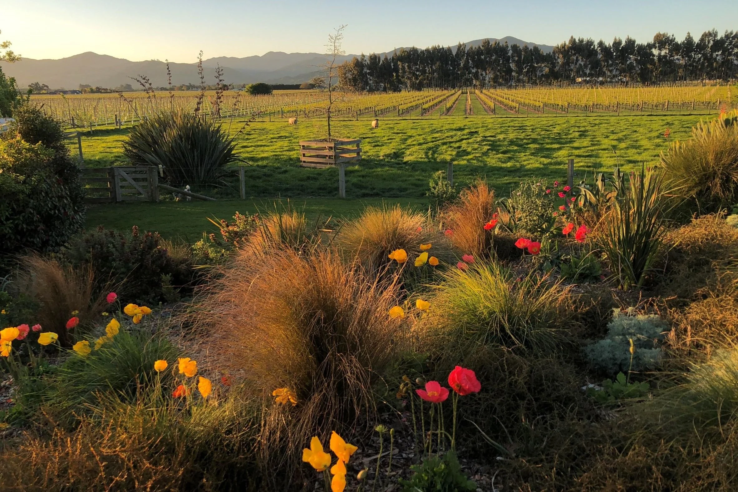 Welton House — New Zealand Garden Trust