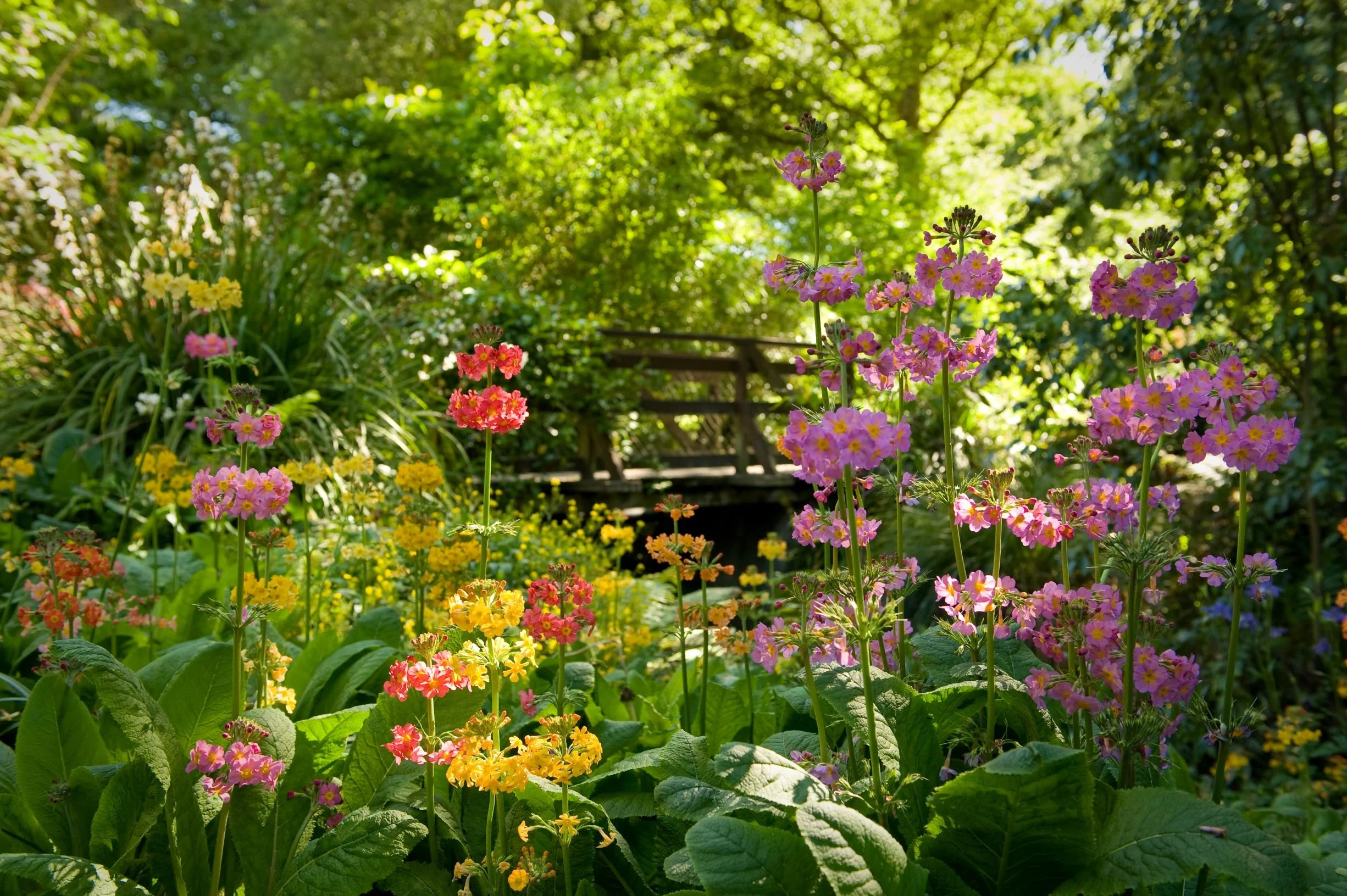 The Rusty Acre — New Zealand Garden Trust
