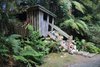 Pukeiti — New Zealand Garden Trust