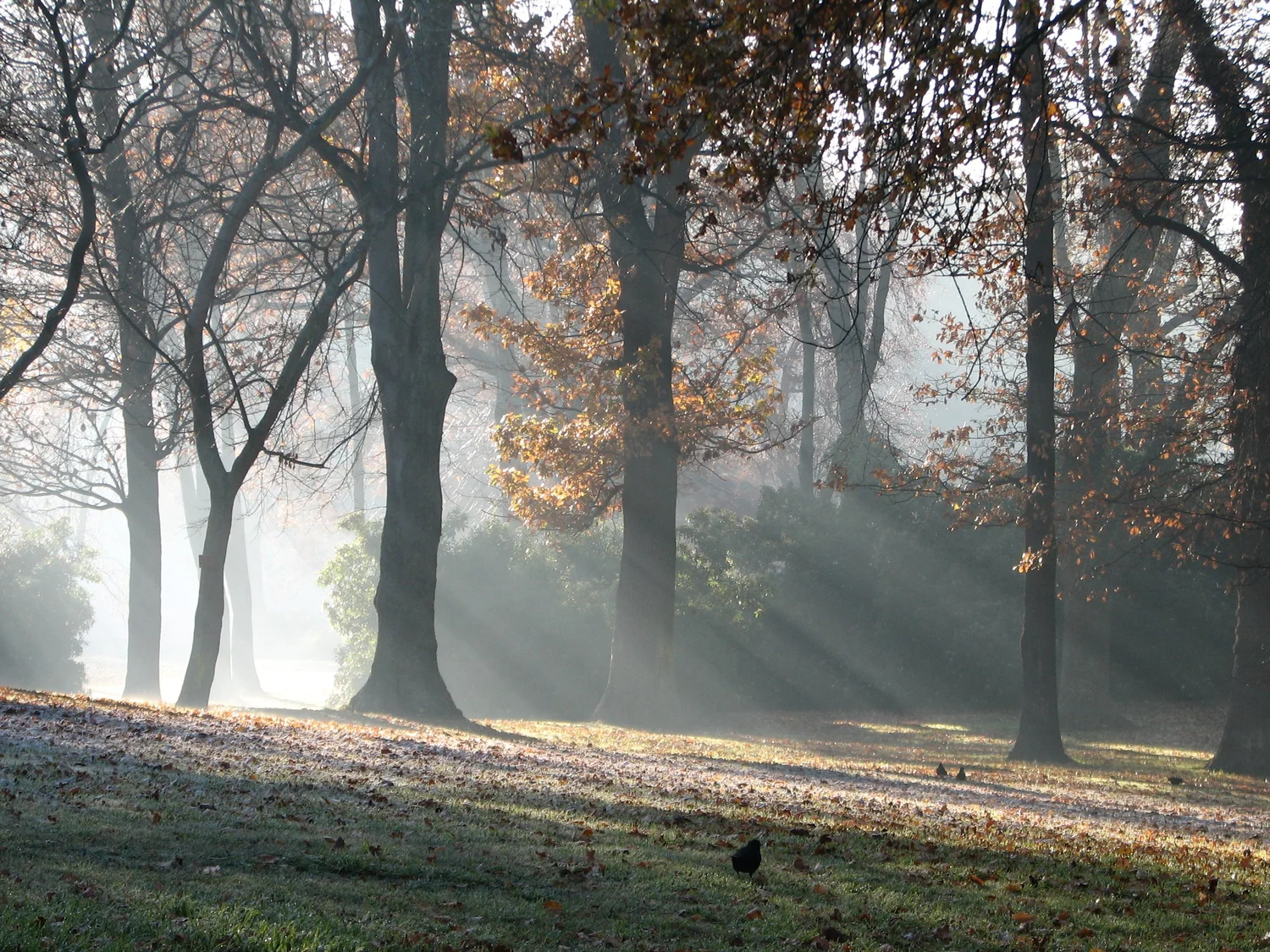 Timaru Botanic Gardens — New Zealand Garden Trust