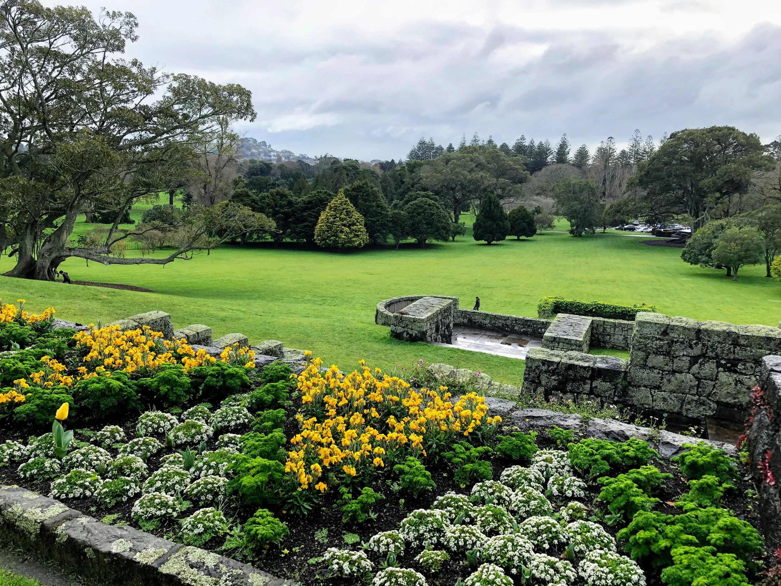 Cornwall Park — New Zealand Garden Trust