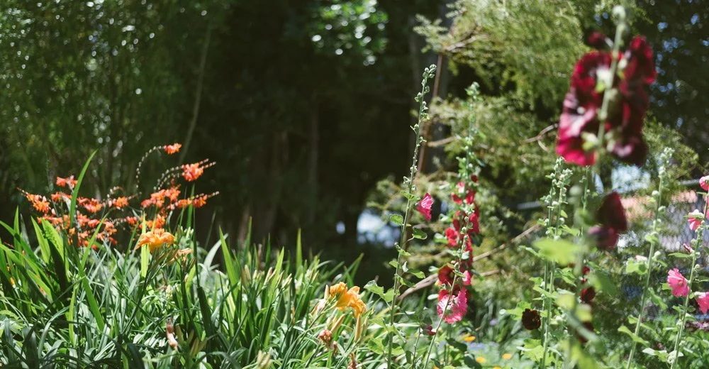 The Elms — New Zealand Garden Trust