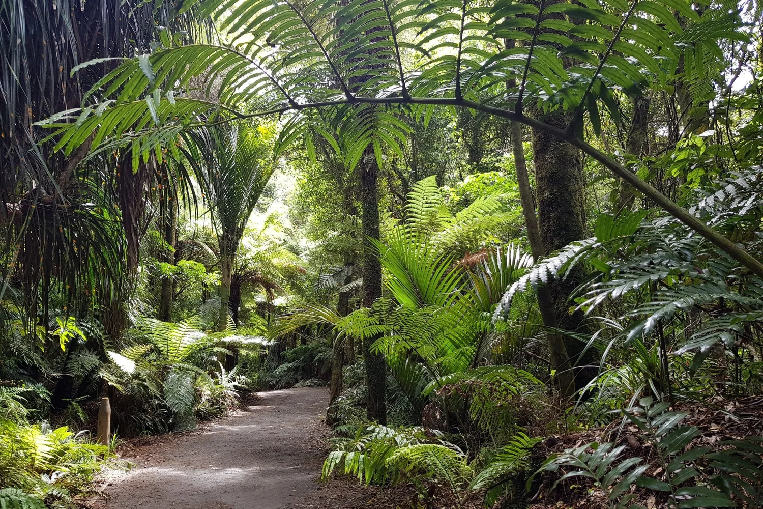 Pukeiti — New Zealand Garden Trust