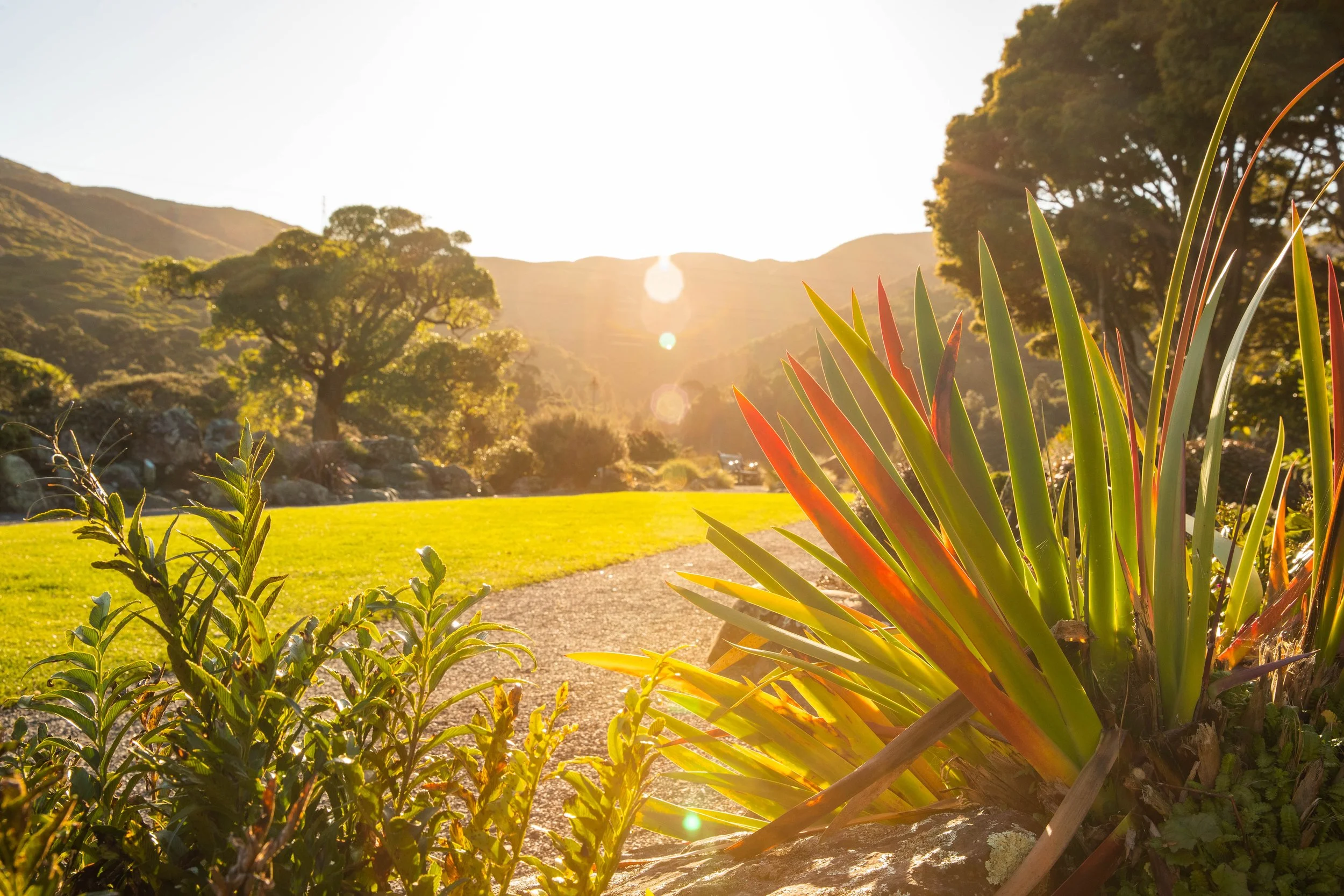 Ōtari-Wilton's Bush Native Botanic Garden — New Zealand Garden Trust