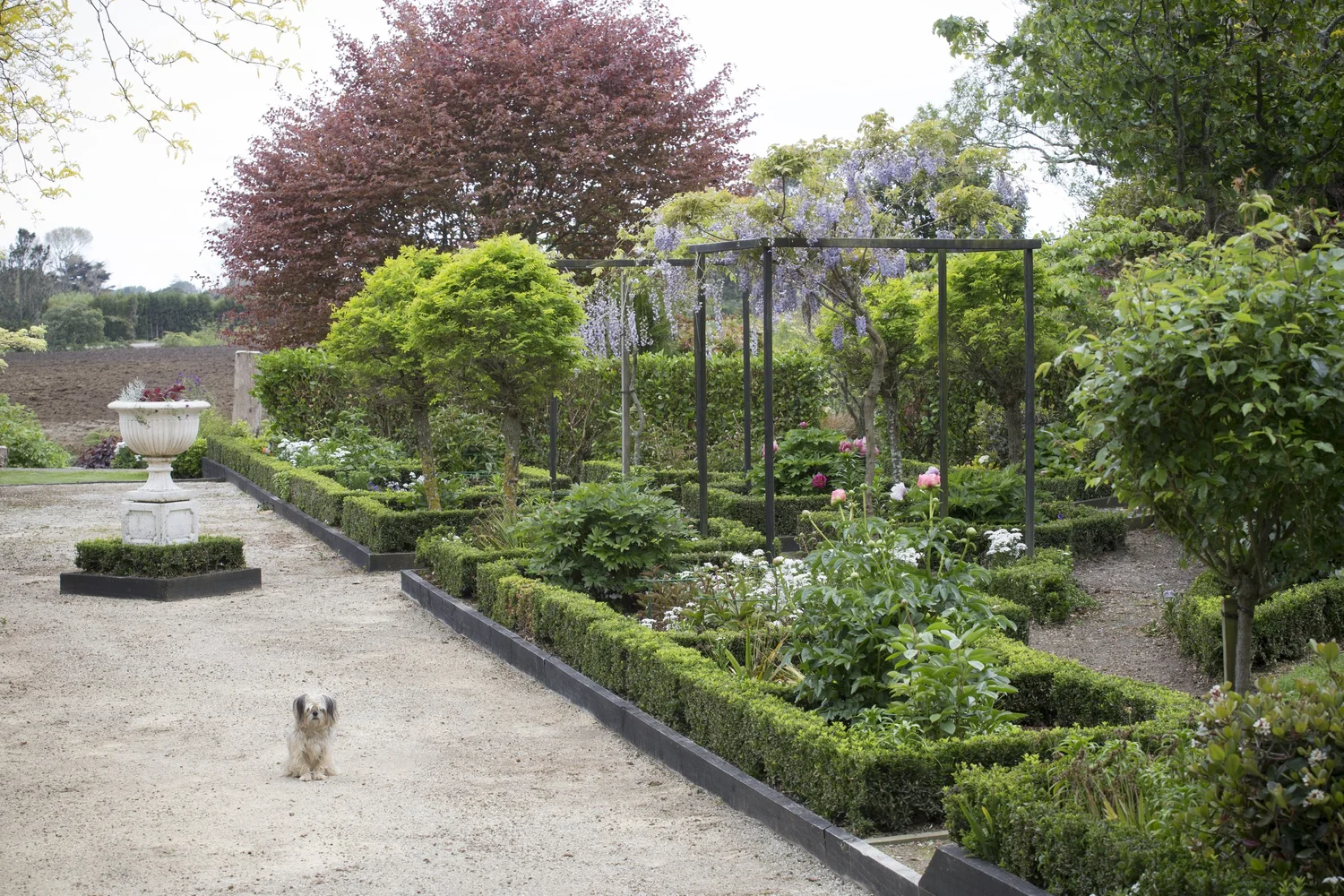 Waiongana Gardens — New Zealand Garden Trust