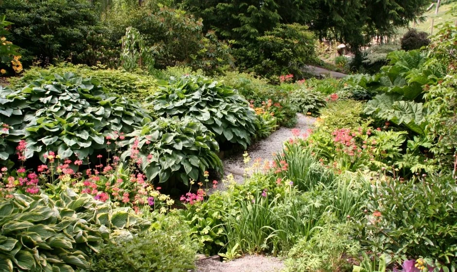 Bannerman Park — New Zealand Garden Trust
