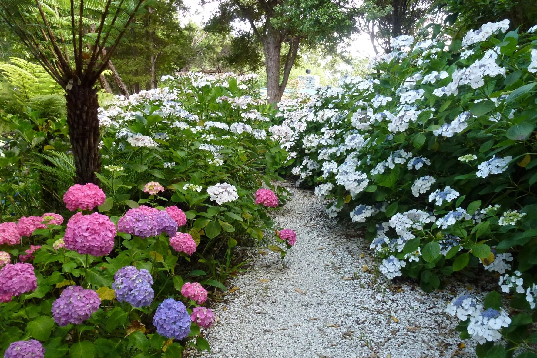 Omaio — New Zealand Garden Trust