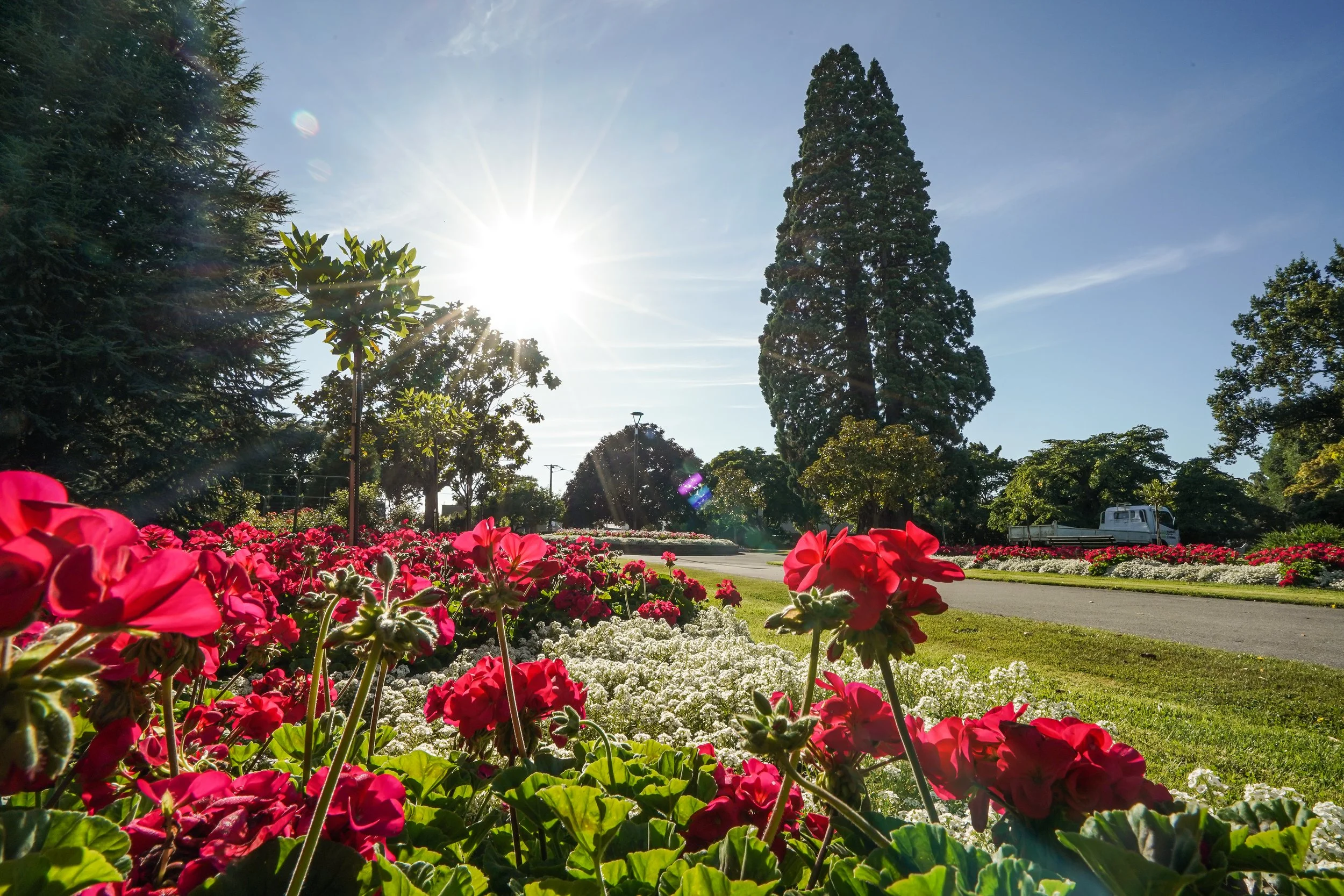 Gore Public Gardens — New Zealand Garden Trust