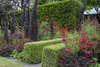 Timaru Botanic Gardens — New Zealand Garden Trust
