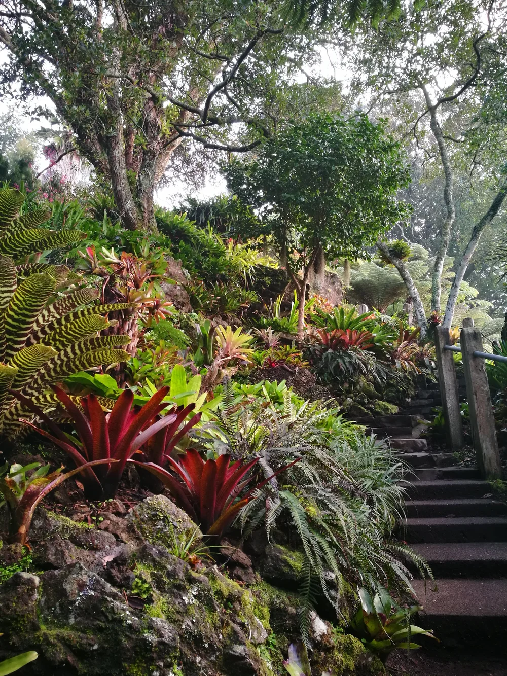 Eden Garden — New Zealand Garden Trust