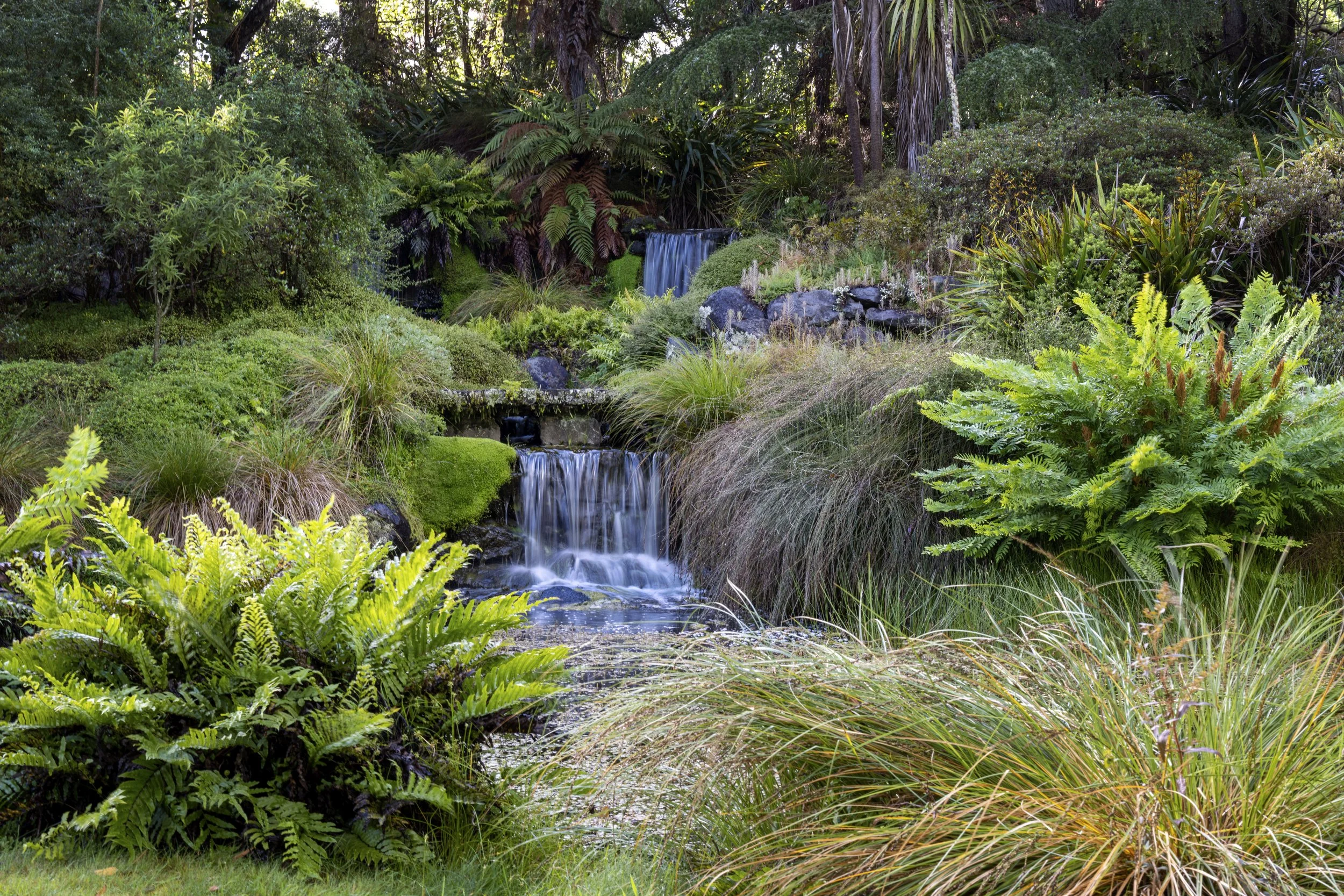 Auckland Domain Wintergardens — New Zealand Garden Trust