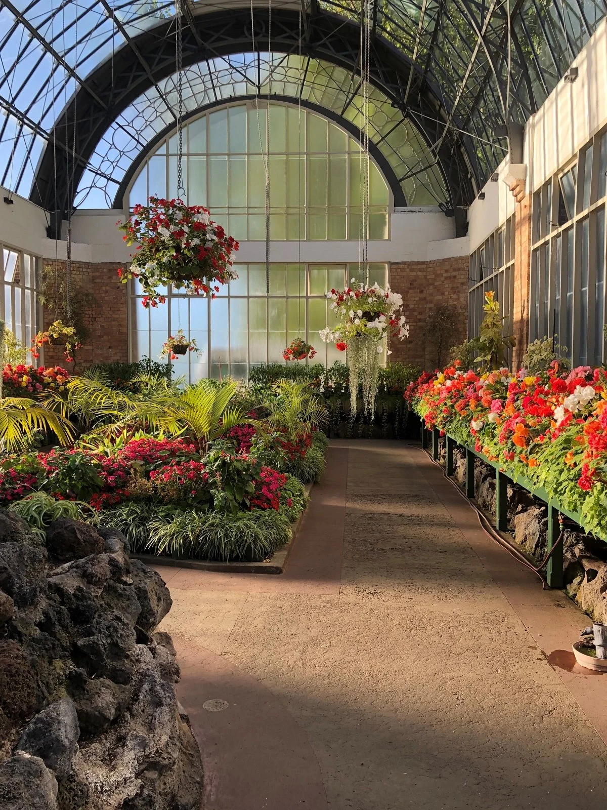 Auckland Domain Wintergardens — New Zealand Garden Trust