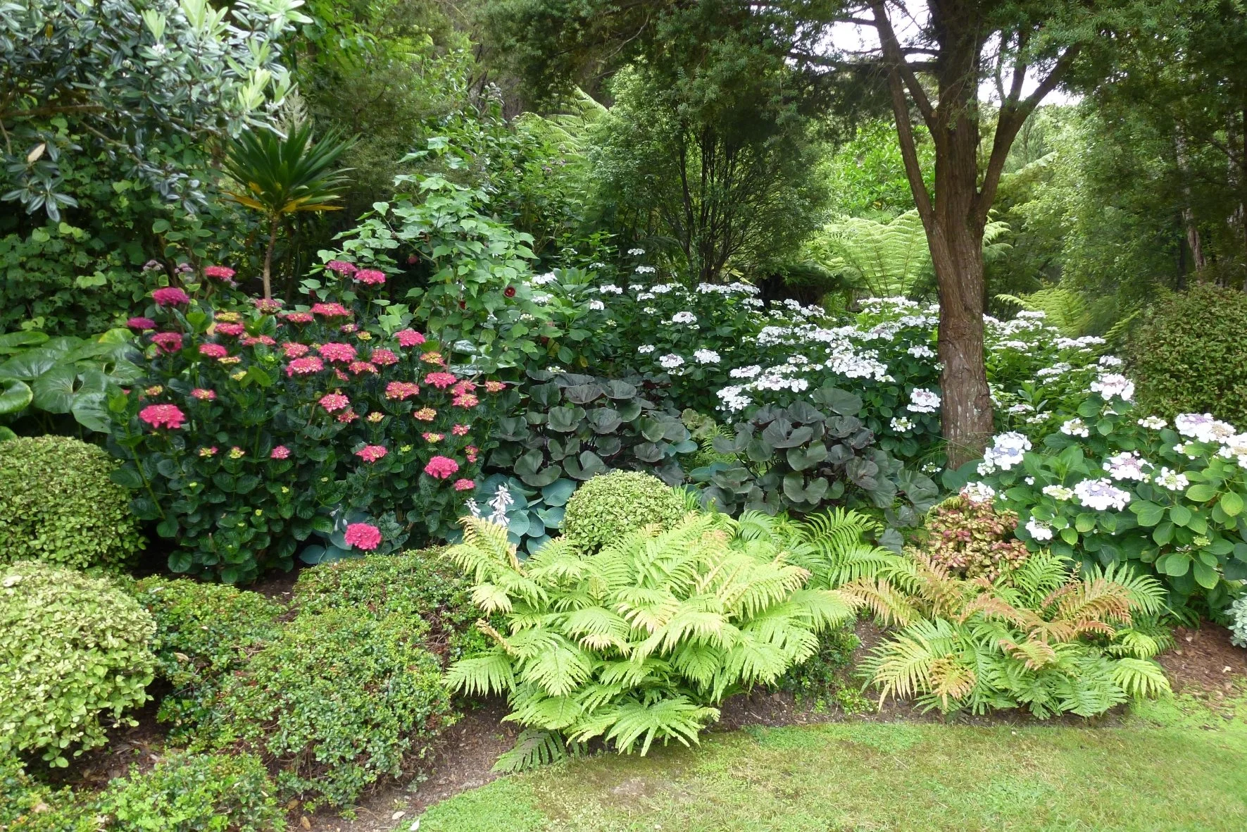 Mincher — New Zealand Garden Trust