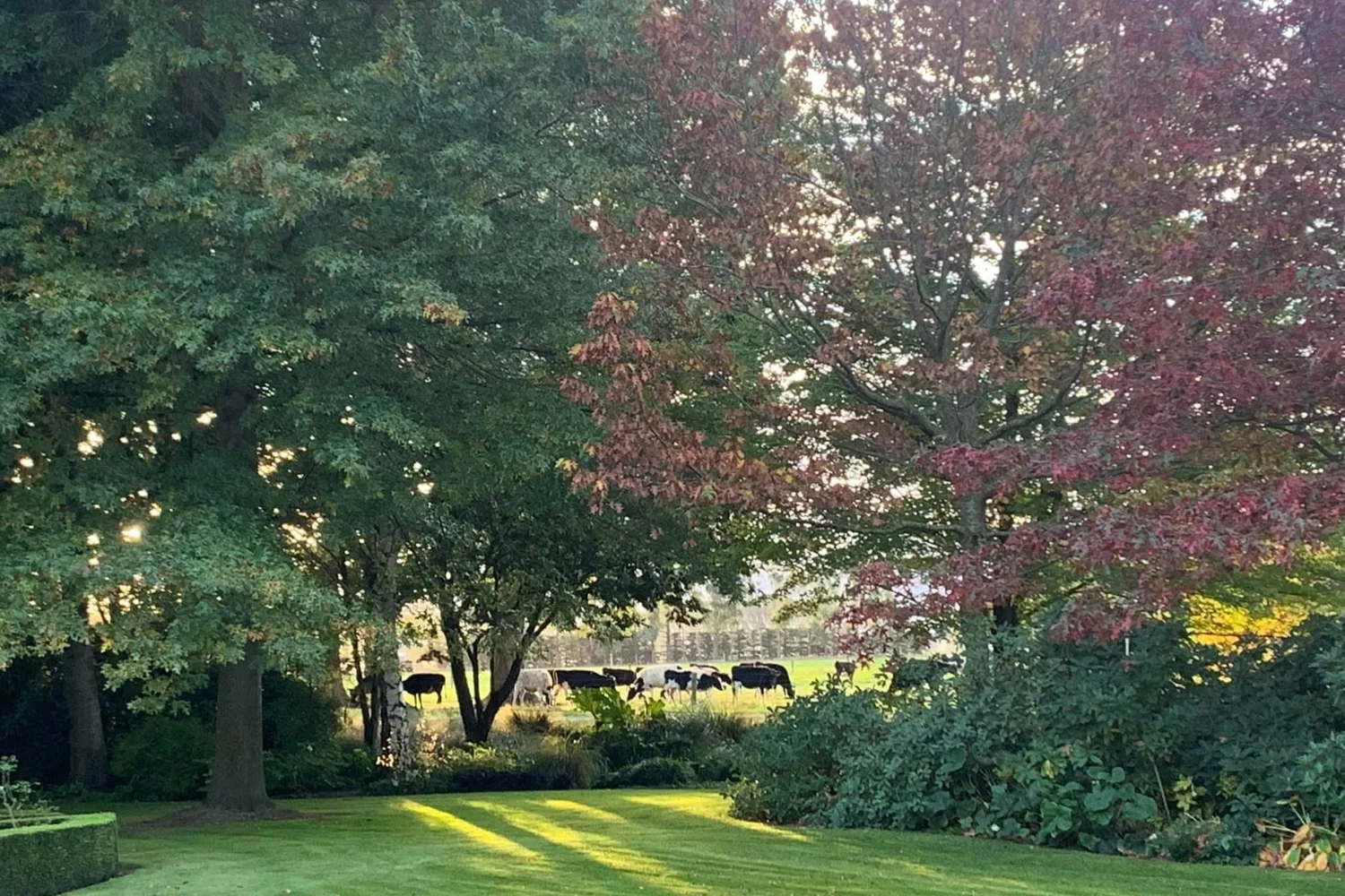 Coldstream — New Zealand Garden Trust