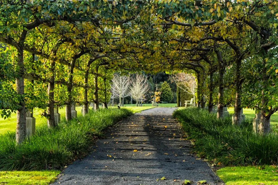 Mincher — New Zealand Garden Trust
