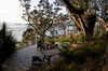 Omaio — New Zealand Garden Trust