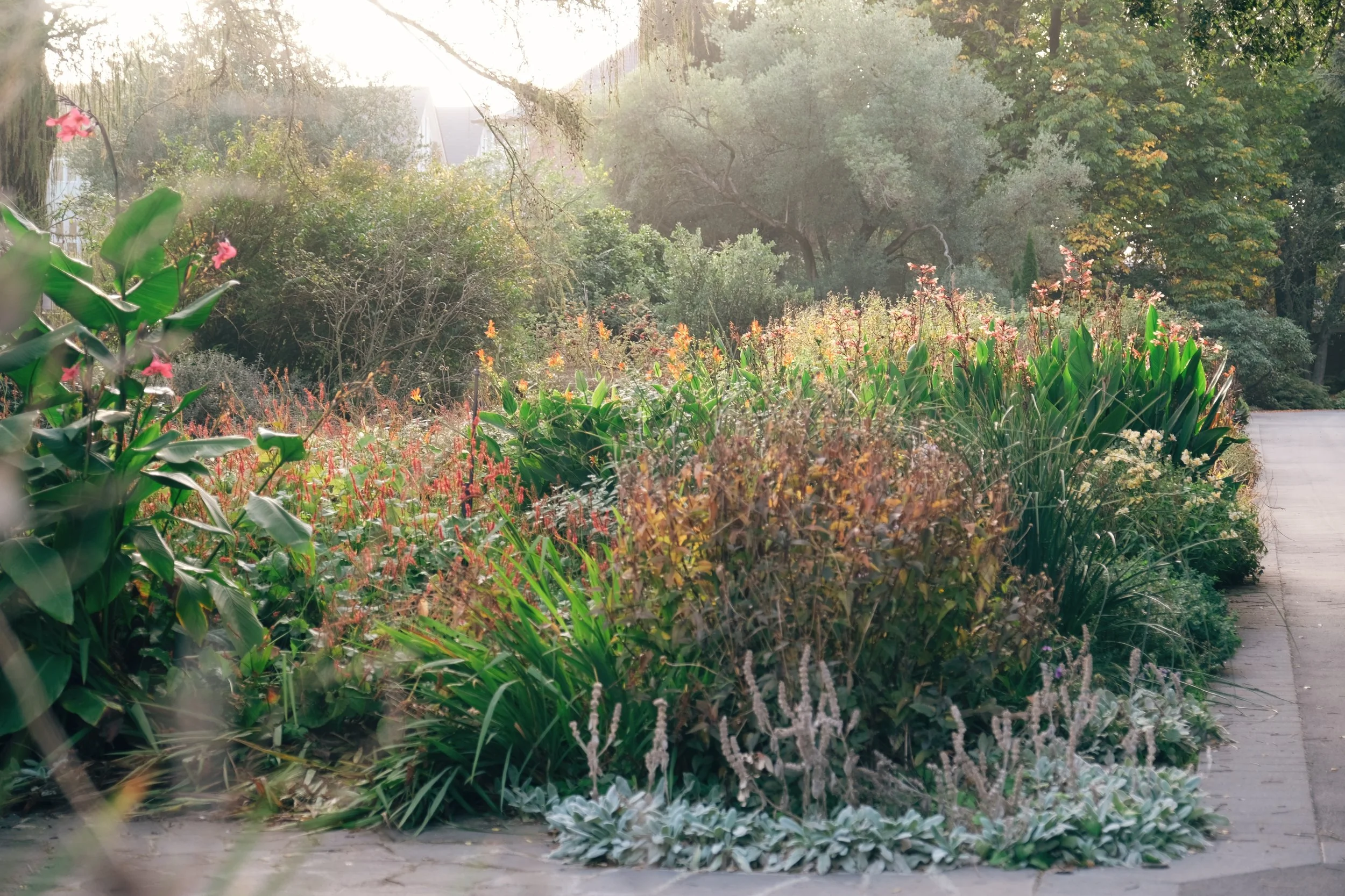 Christchurch Botanic Garden — New Zealand Garden Trust
