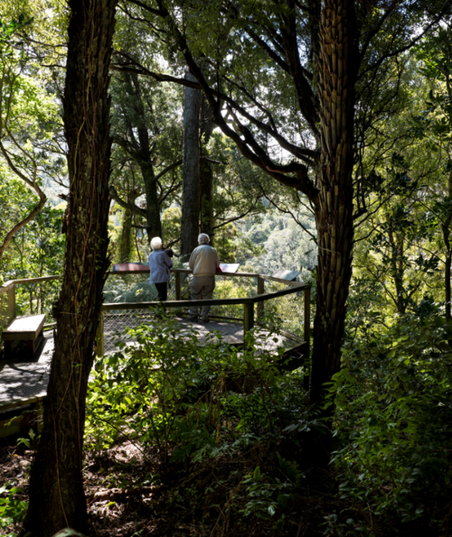 Ōtari-Wilton's Bush Native Botanic Garden — New Zealand Garden Trust