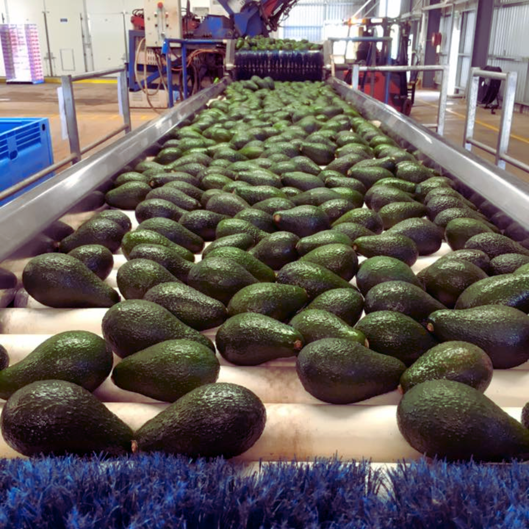 Services — Aus Produce Partners