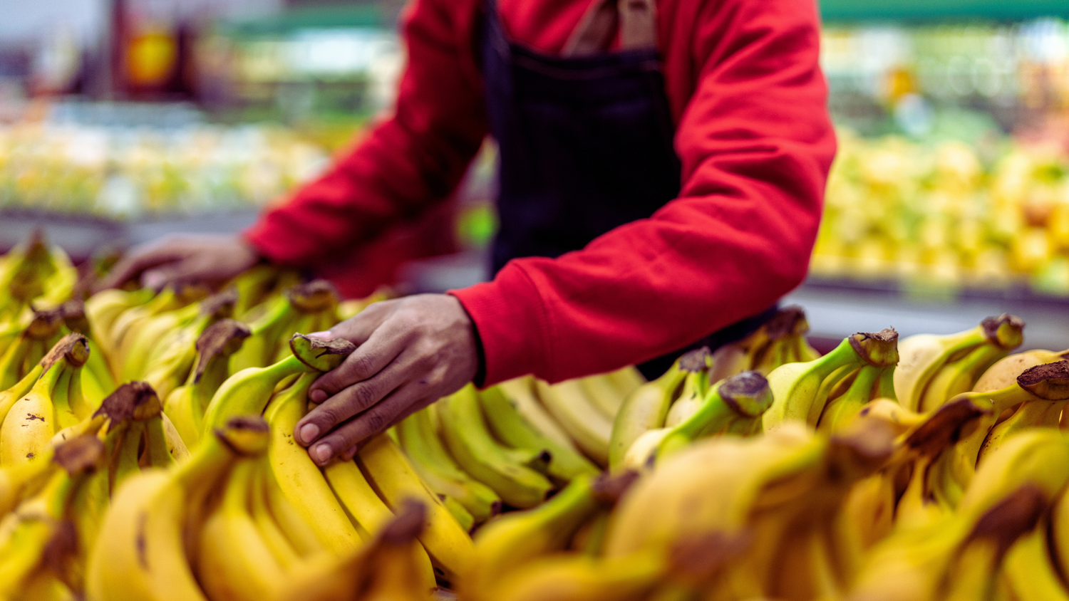 Our Partners — Aus Produce Partners