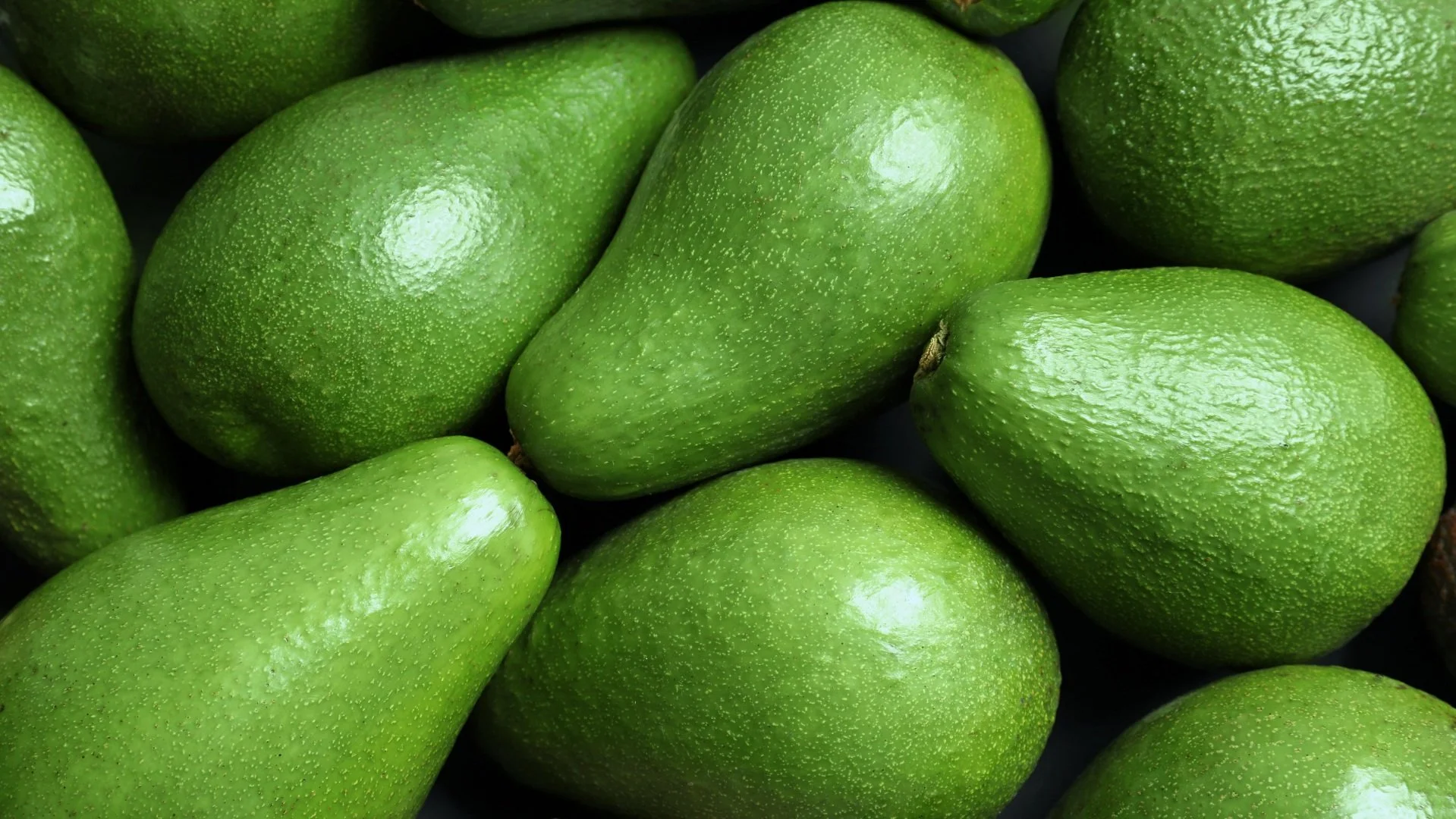Avocados — Aus Produce Partners