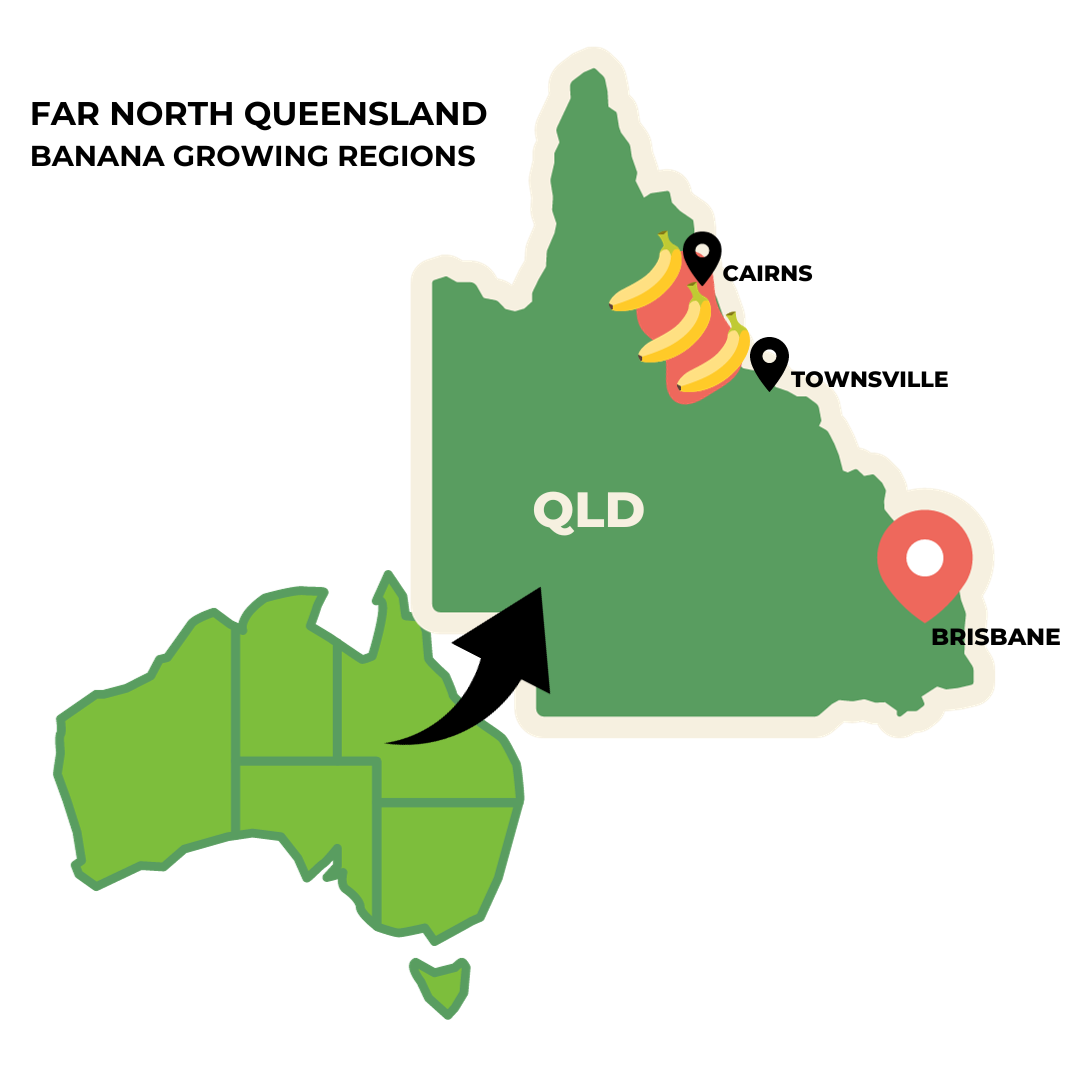 Bananas — Aus Produce Partners