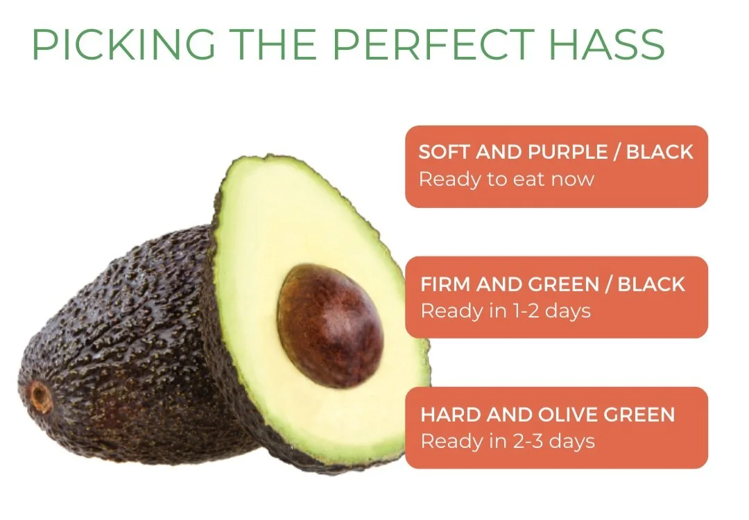 Avocados — Aus Produce Partners