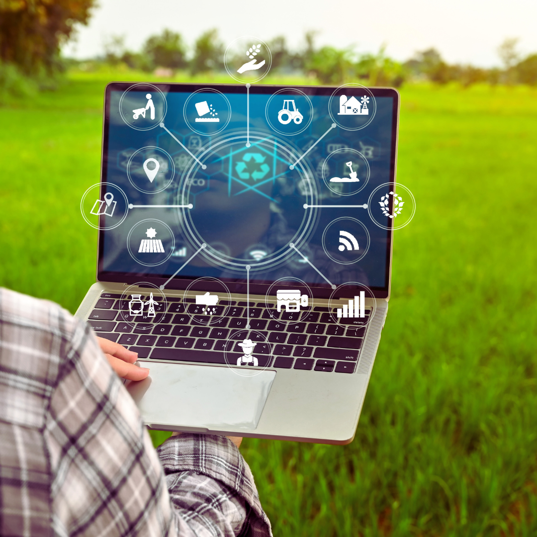 Services — Aus Produce Partners