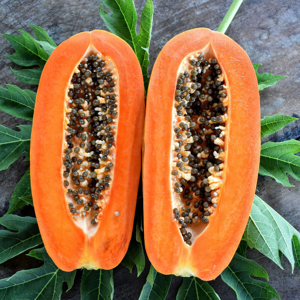 Papaya — Aus Produce Partners
