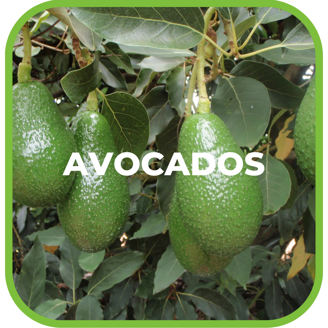 Australian Produce Partners