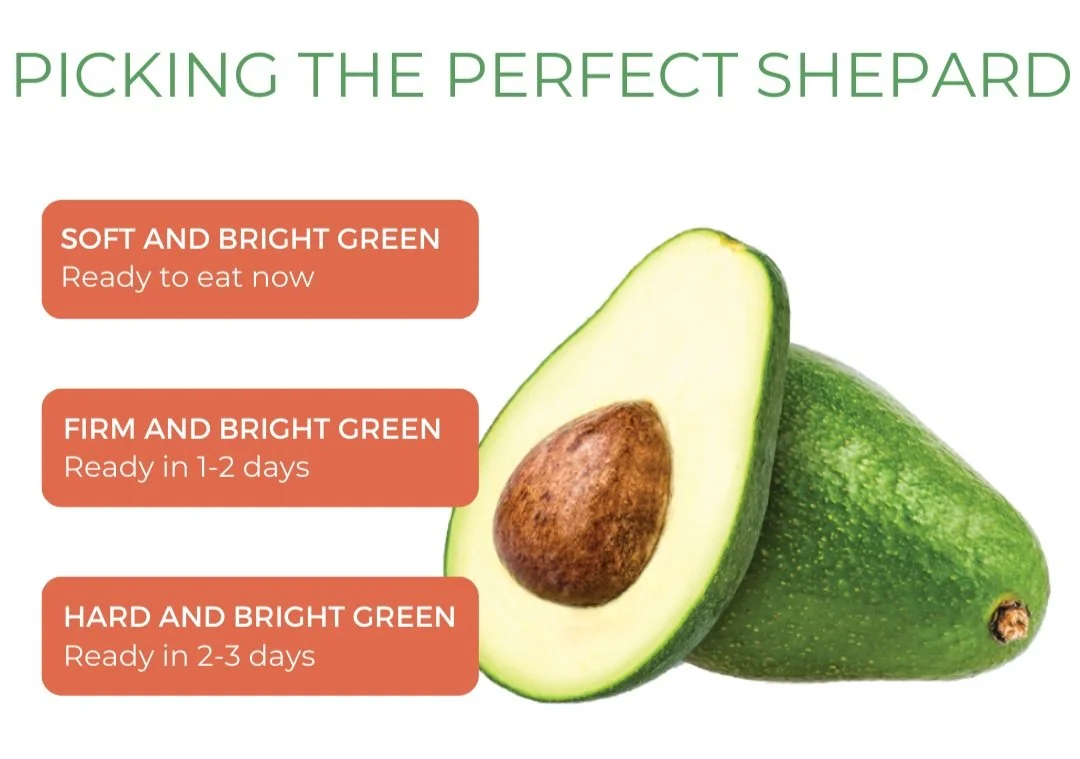 Avocados — Aus Produce Partners