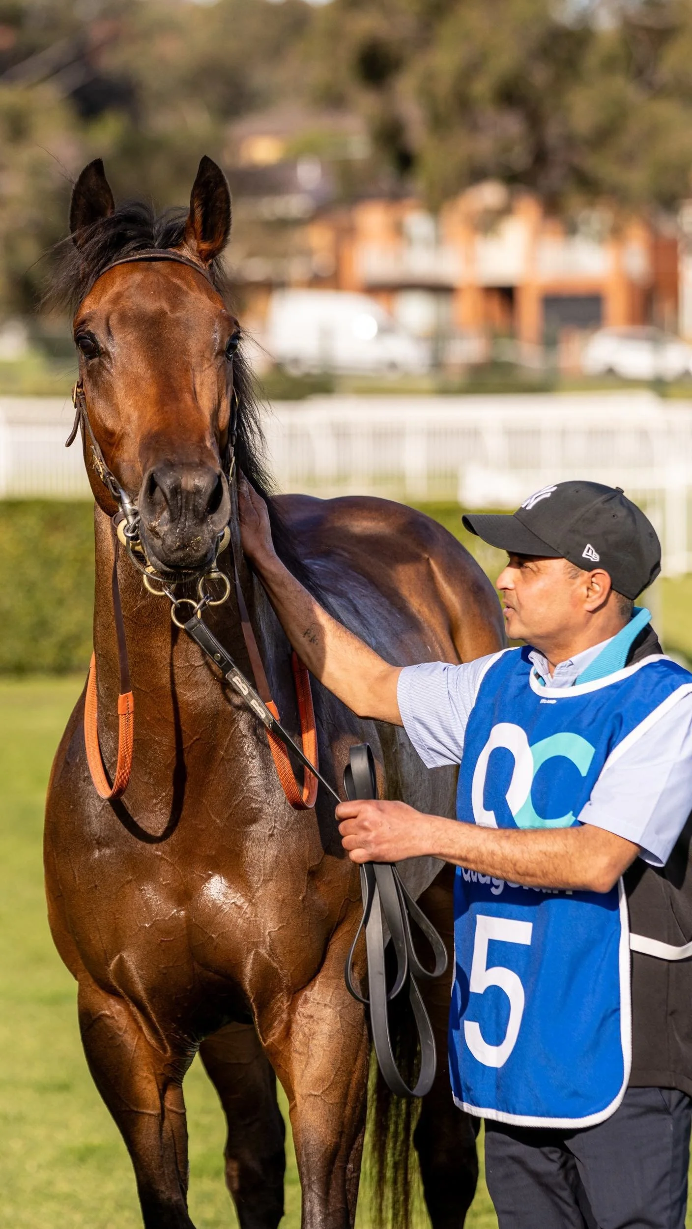 SYDNEY TRAINER BJORN BAKER PULLS OFF A TRAINING MASTERCLASS WITH ...
