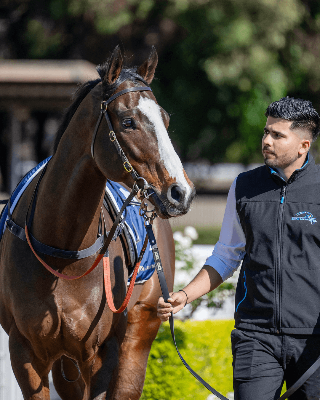 Meet Bjorn — BJORN BAKER RACING