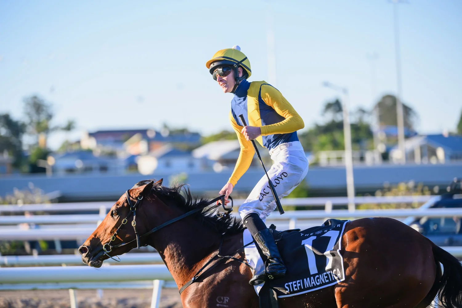 Meet Bjorn — BJORN BAKER RACING